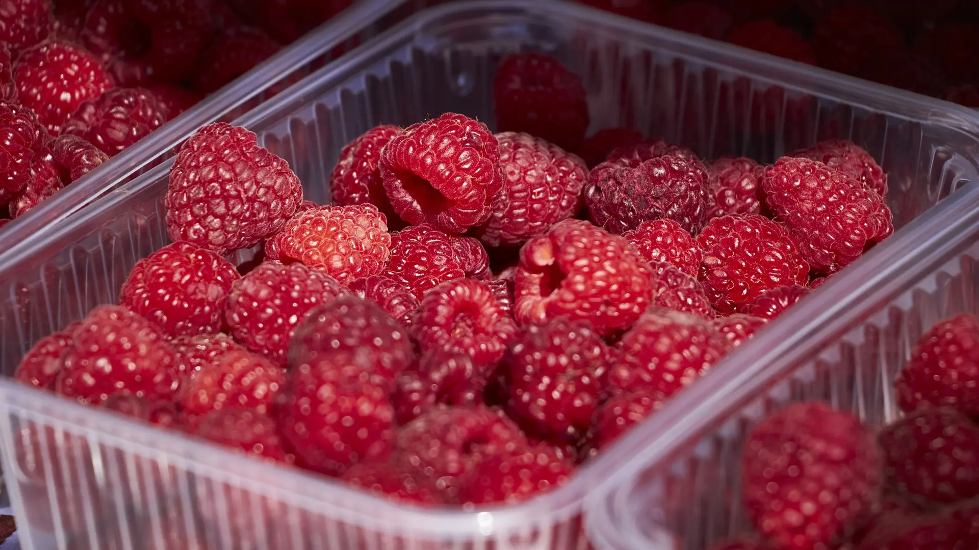 Devet ključnih razloga zašto bi svaka žena maline trebalo da jede svakodnevno